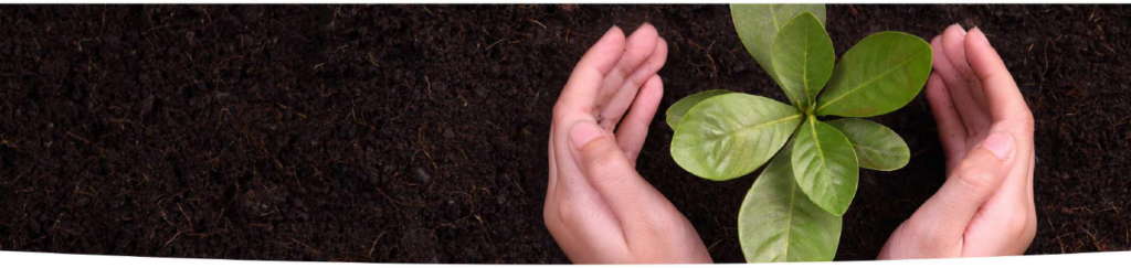 Cost & Environmental Benefits of Induction Sealing - Selig Group